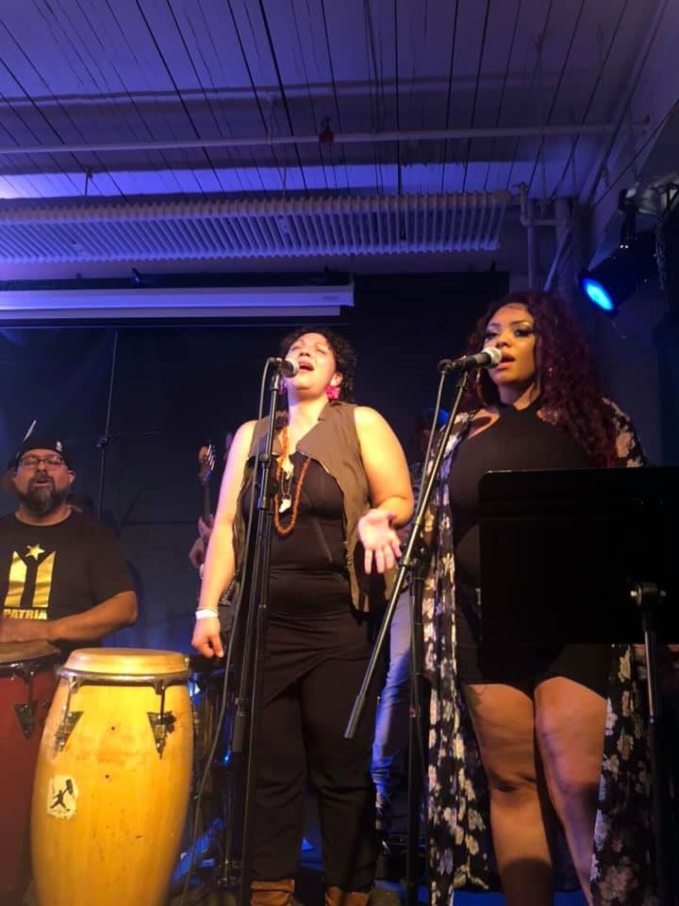 TapRoots Global Groove Fest | Live Music News