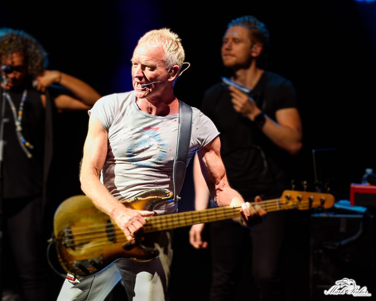 Sting Vienna VA | Live Music News